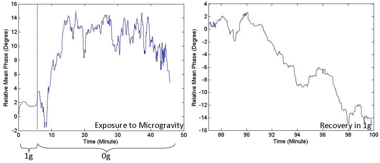 Digital holographic microscopy for the cytomorphological imaging of cells under zero gravity ...
